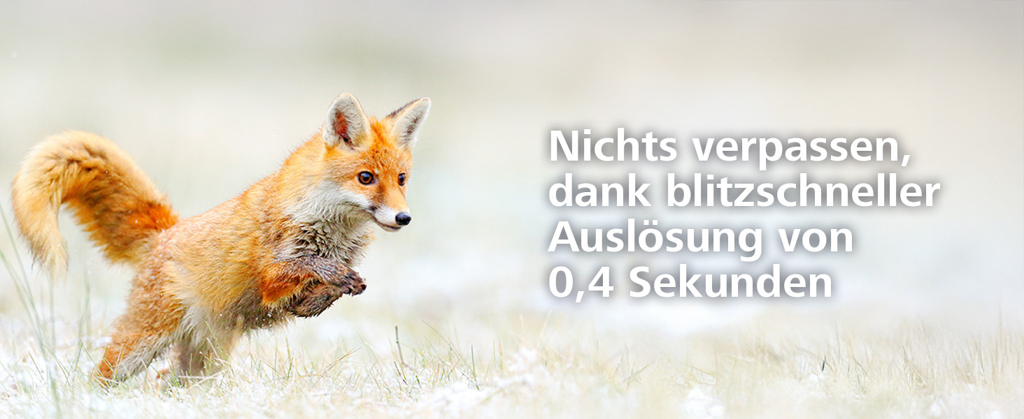 ZEISS Secacam 3 kaufen - im offiziellen Online-Shop